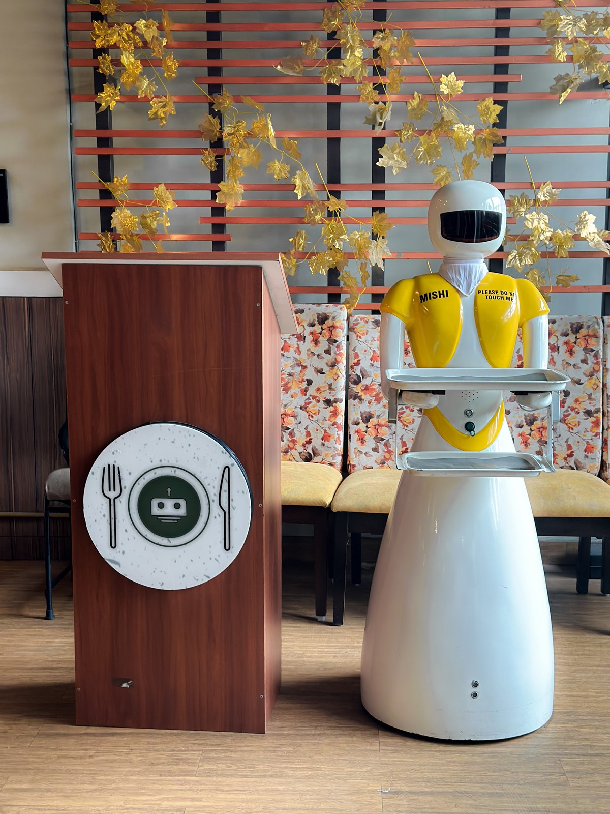 The rise of robots in the culinary world | Food-wine News - The Indian ...