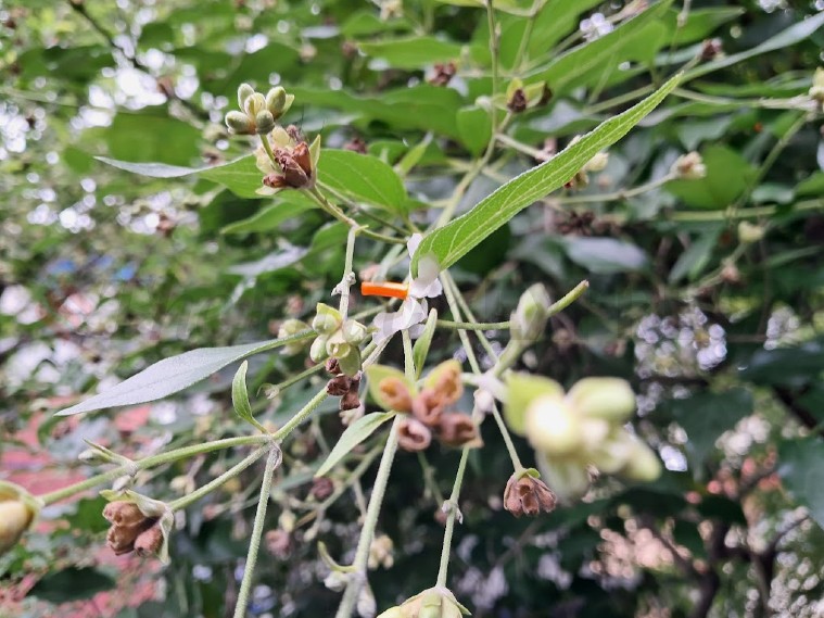 Samsung Galaxy M34 review: A practical mid-ranger that beats the low ...