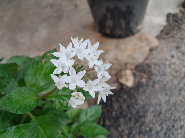 Samsung Galaxy M34 review: A practical mid-ranger that beats the low ...