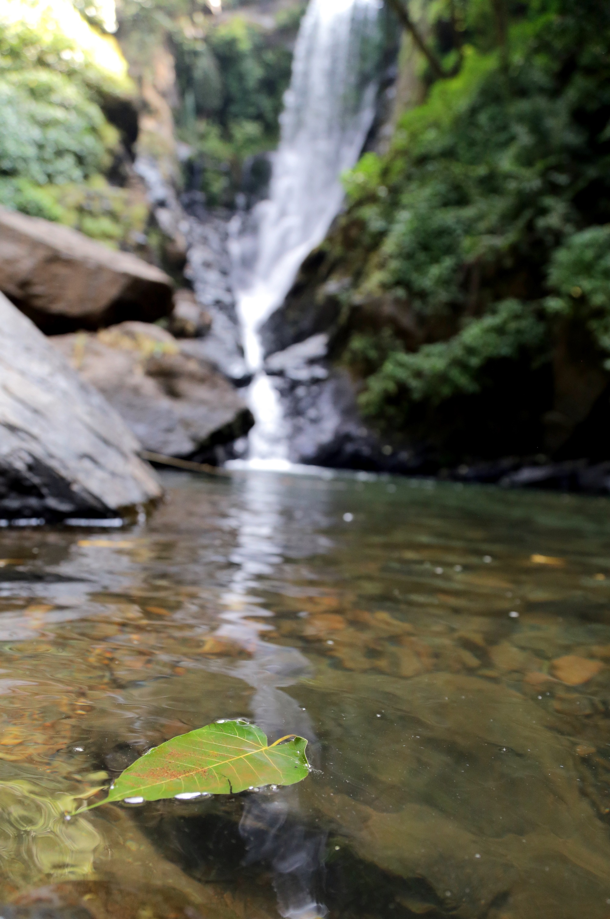 Monsoon Treks To Take You Off The Beaten Path In Goa