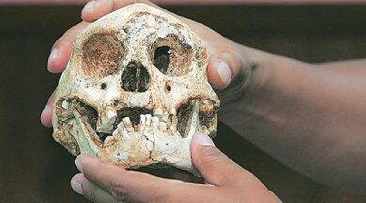 Human skull found in Tripurasundari temple water body, purification ...