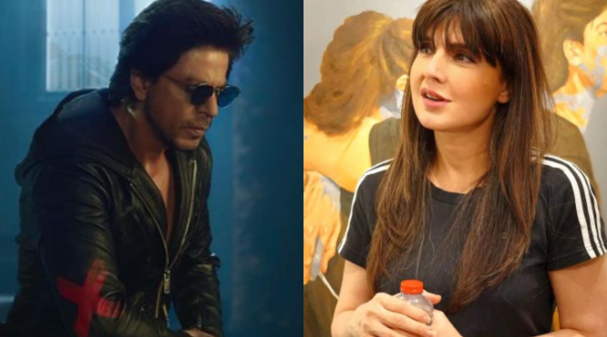 Pakistani actor Mahnoor Baloch says Shah Rukh Khan ‘doesn’t know acting ...