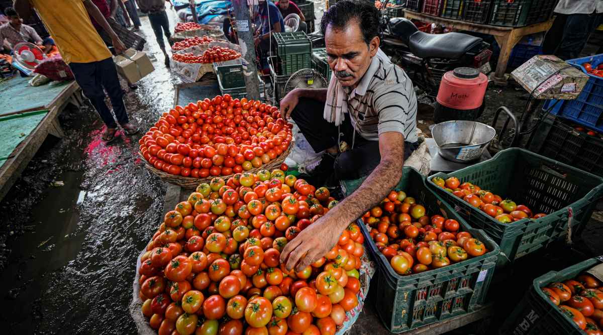 Centre orders distribution of tomatoes at reduced price | India News ...