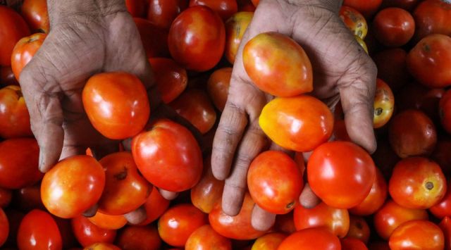 Price rise: Maha woman receives tomatoes as precious gift on birthday ...