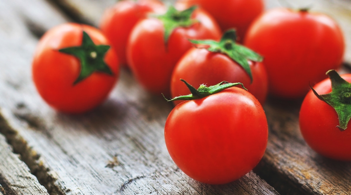 Travelling with the tomato: How the ‘poison apple’ became a staple in ...