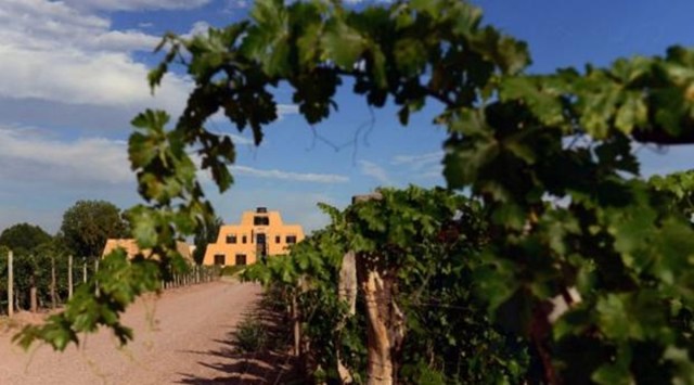 Revealed: World’s best vineyards for 2023 | Destination-of-the-week ...