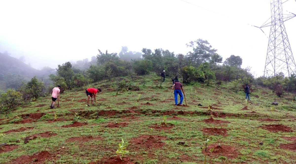 How private forests are making Sahyadris greener near Pune | Pune News ...