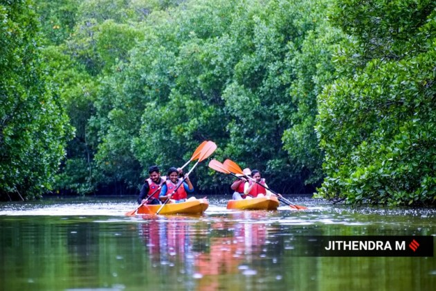 In pictures: Experience kayaking in the mangroves of coastal Karnataka