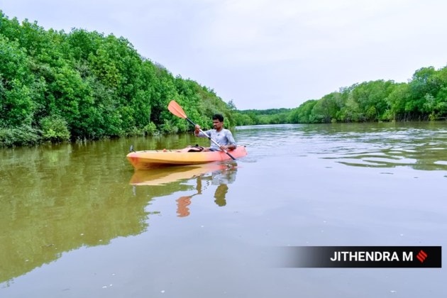 In pictures: Experience kayaking in the mangroves of coastal Karnataka