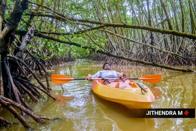 In pictures: Experience kayaking in the mangroves of coastal Karnataka