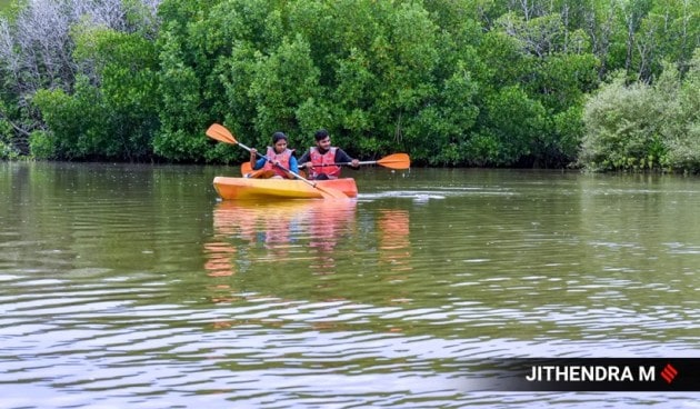 In pictures: Experience kayaking in the mangroves of coastal Karnataka