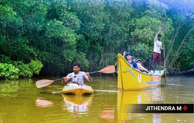 In pictures: Experience kayaking in the mangroves of coastal Karnataka