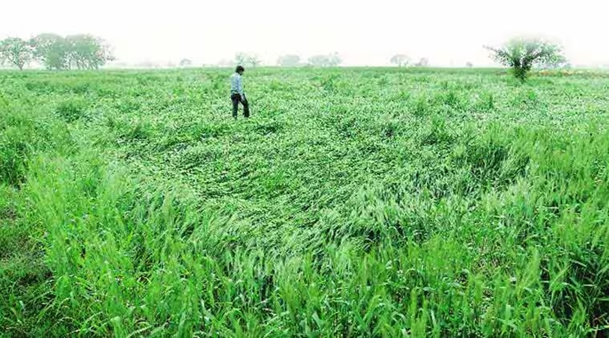 Circle rates of agri land revised in Delhi | Delhi News - The Indian ...