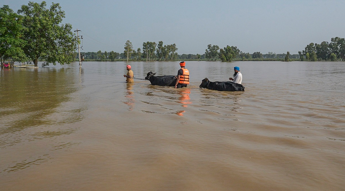 Encroachments coupled with nature’s fury: In Punjab, the worst flood in ...
