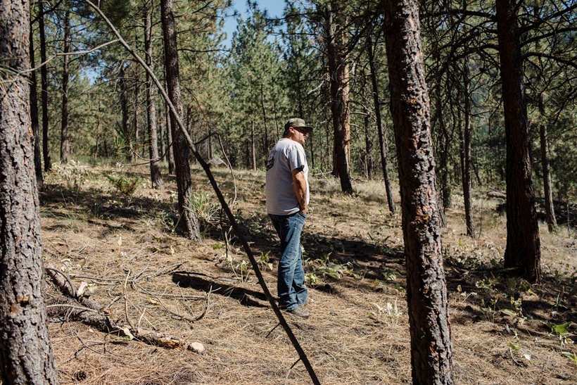 How a fire prevention zone saved a community from wildfire | World News ...