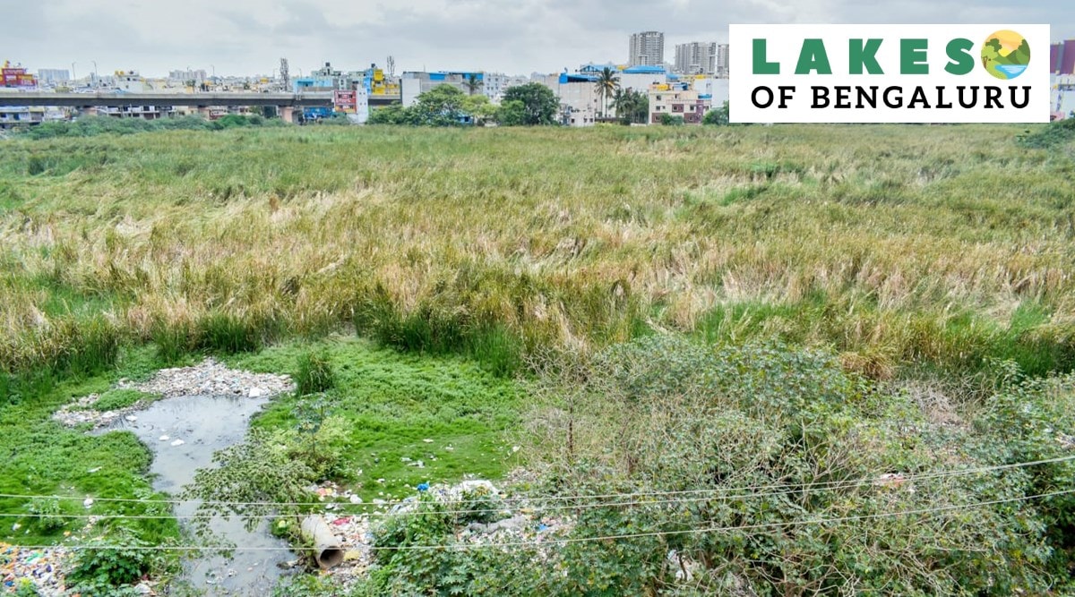 Lakes of Bengaluru: Haze on ownership pushes Garvebhavipalya lake into ...