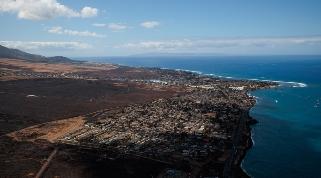 How invasive plants caused Hawaii’s Maui fires to rage | World News ...