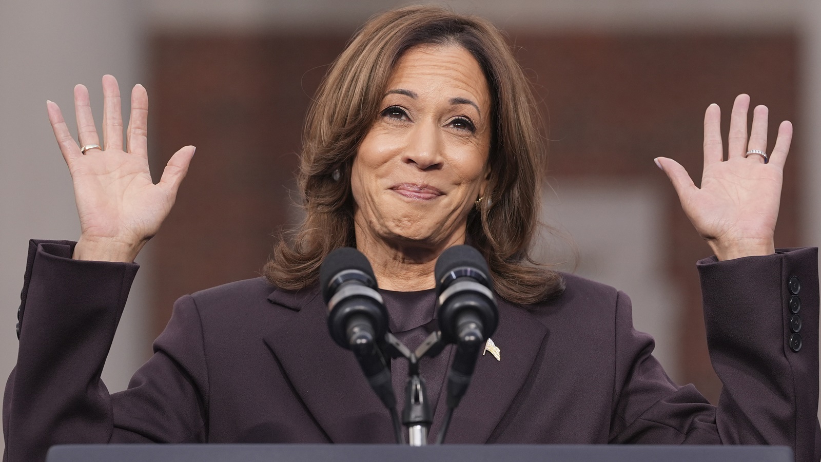 ‘When I am president…’: Kamala Harris recalls crowd reaction to promise ...