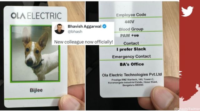 Meet Ola Electric’s newest employee Bijlee who is winning hearts online ...