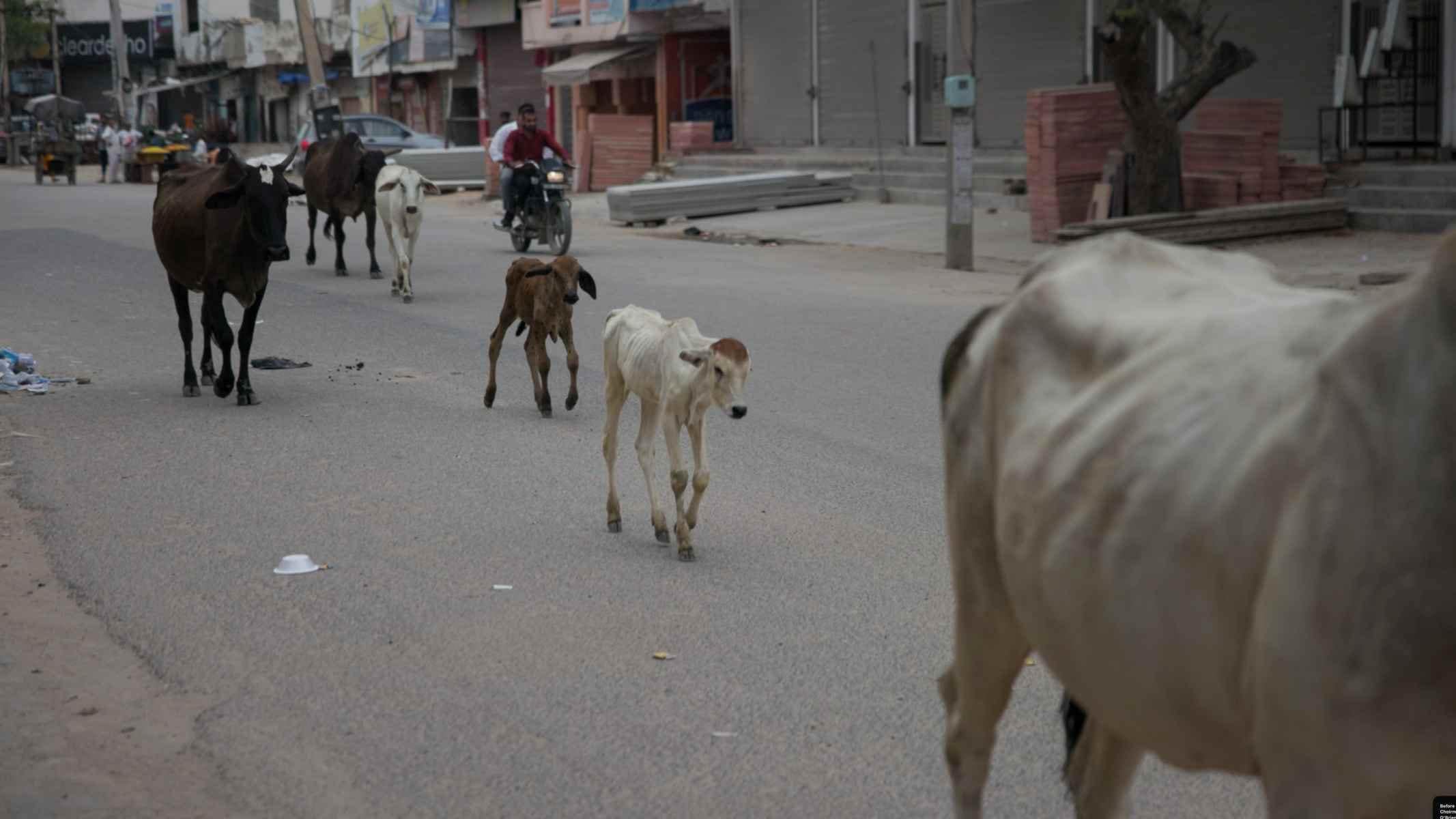 In Nuh, old bonds and new rifts: How a town on slow boil spilled over ...