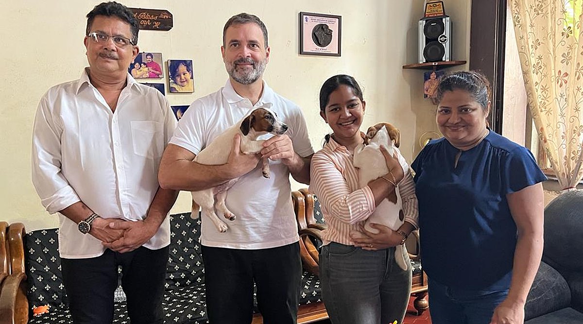 Rahul Gandhi has a new pet — a Jack Russell Terrier from Goa | India ...