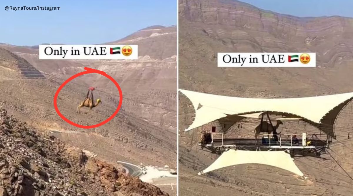 ‘Only in UAE’: Computer-generated video of camel on a zipline goes ...