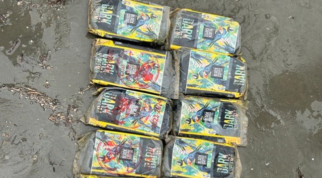 BSF recovers charas, heroin from Kutch coast | Ahmedabad News - The ...