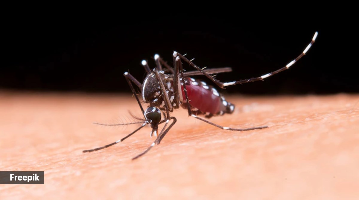 Higher temperatures could make Dengue virus more virulent: Study ...