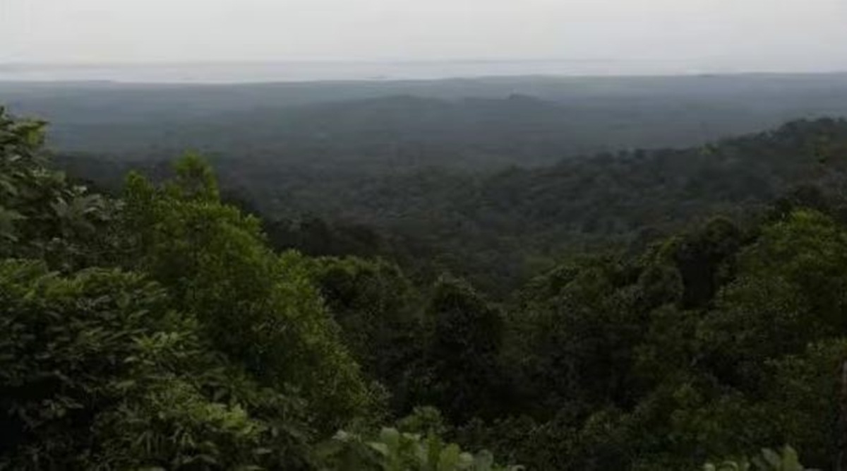 Over 5,000 hectares of Karnataka forest diverted since 2008: Govt data ...