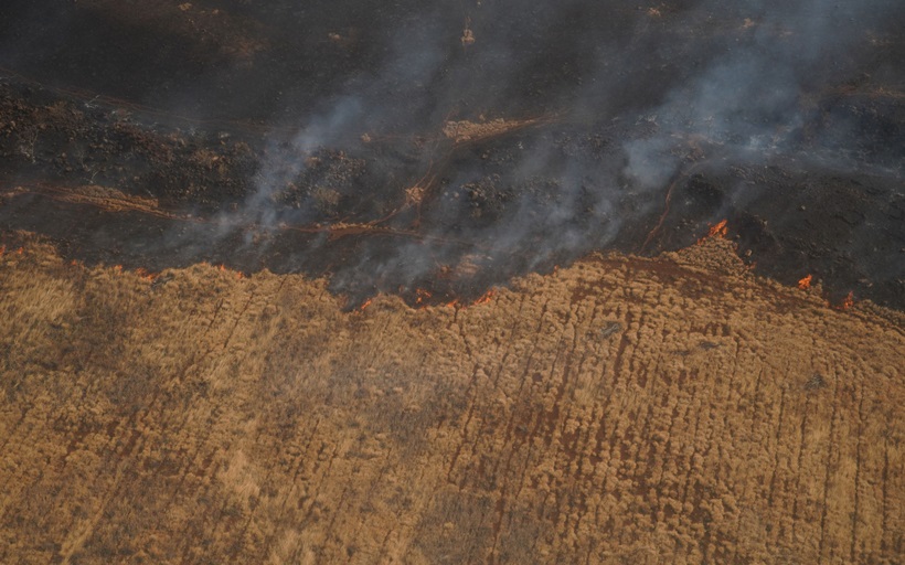 Hawaii fires: As inferno grew, Lahaina’s water system collapsed | World ...