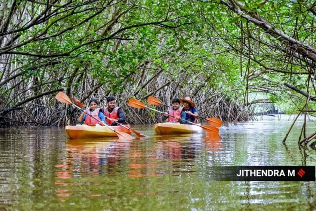 In pictures: Experience kayaking in the mangroves of coastal Karnataka