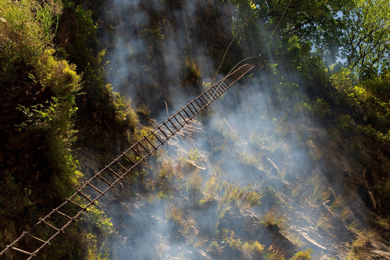 All For A Buzz: Nepal’s Rare Himalayan Honey That Takes You High