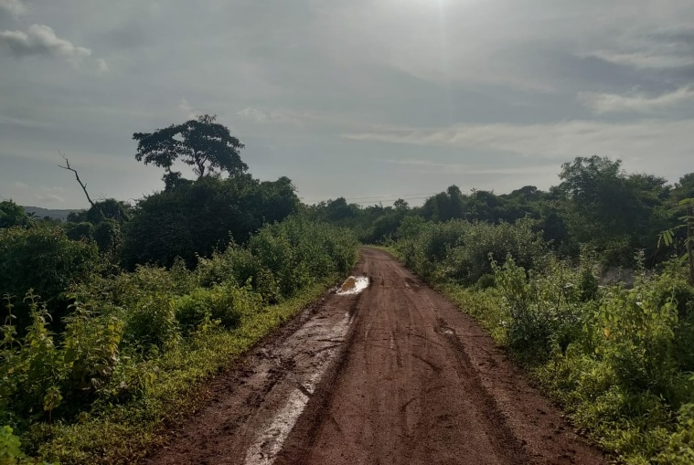 ‘People don’t even buy cigarettes anymore’: Maharashtra village on edge ...