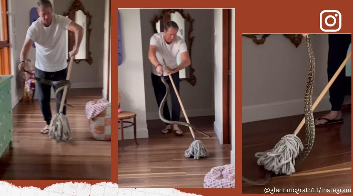 Australian former cricketer Glenn McGrath nonchalantly removes python from home. Watch ...