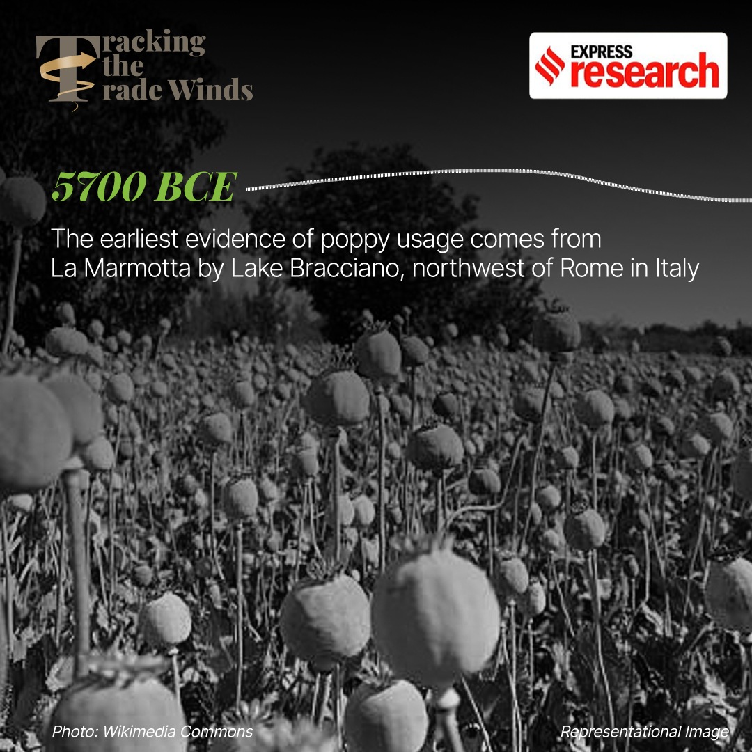 Opium: The drug that gave colonialism a real high | Research News - The ...