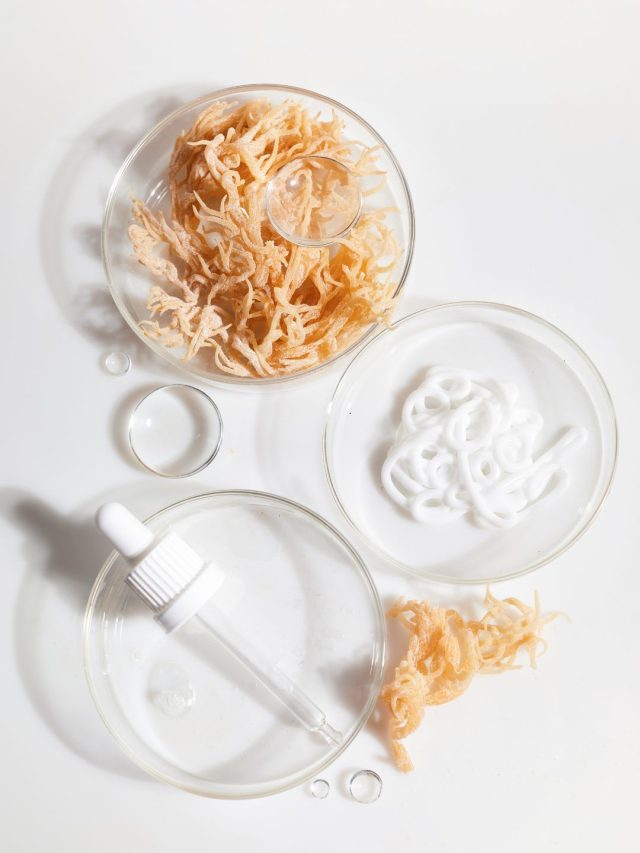 Discover the benefits of sea moss for skincare | The Indian Express