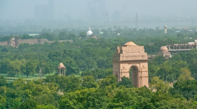 Identify land for alternate forest area in the city: Delhi High Court ...