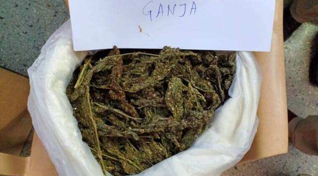 Mumbai Police seizes ganja worth Rs 5 crore grown in cotton field on ...