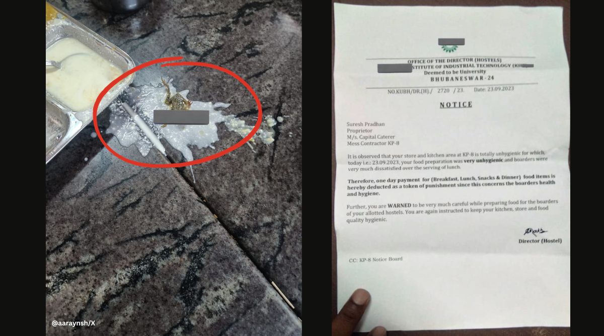 ‘Unacceptable’: X user shares photo of hostel food with dead frog in it ...