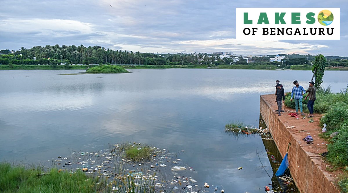 Lakes of Bengaluru: Foul smell, no street light — Konasandra lake is in ...
