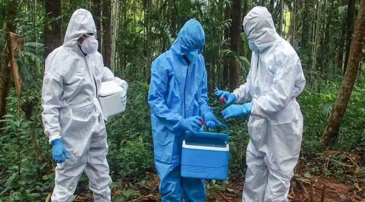 Nipah kills 2 in Kerala, two more test positive | Thiruvananthapuram ... Nipah kills 2 in Kerala, two more test positive | Thiruvananthapuram ...