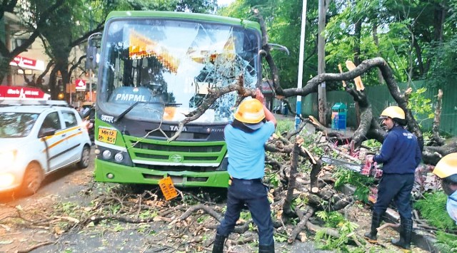Narrow escape for 40 passengers as branch falls on PMPML bus, driver suffers injuries | Pune ...