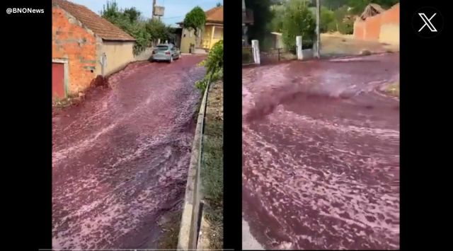 Watch: A river of wine flows through a Portugal village after tanks ...