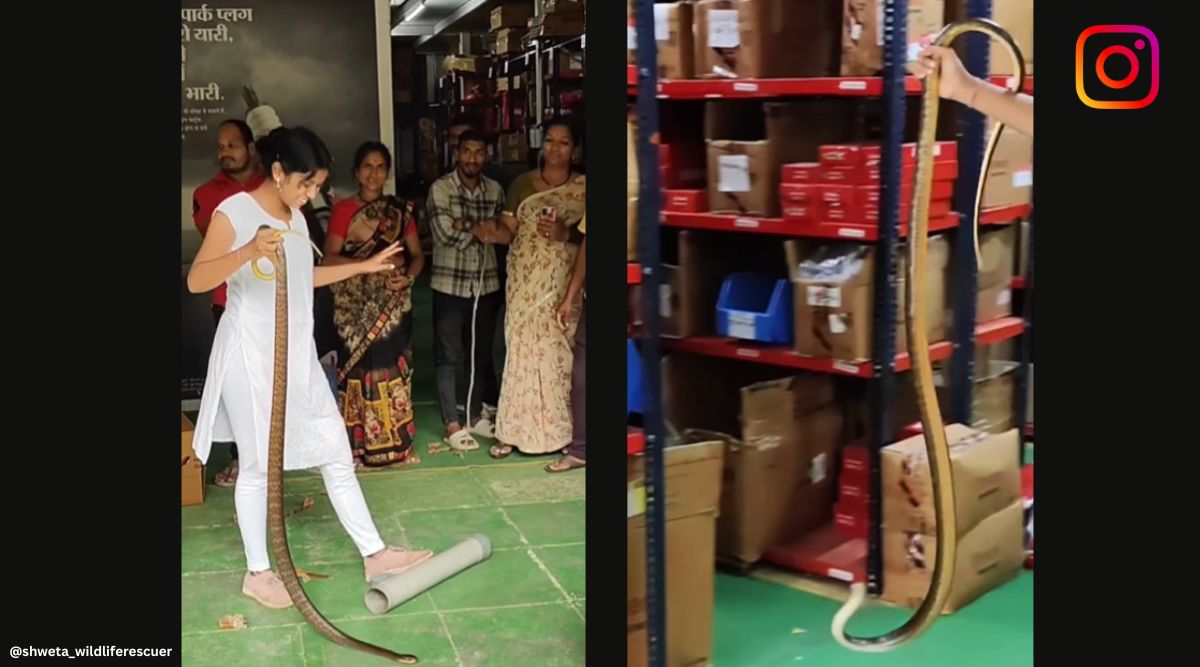 Watch: Young woman catches large snake with her bare hands | Trending ...