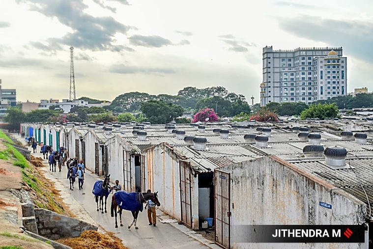 Know Your City: The Bangalore Turf Club – An evergreen home for horses ...