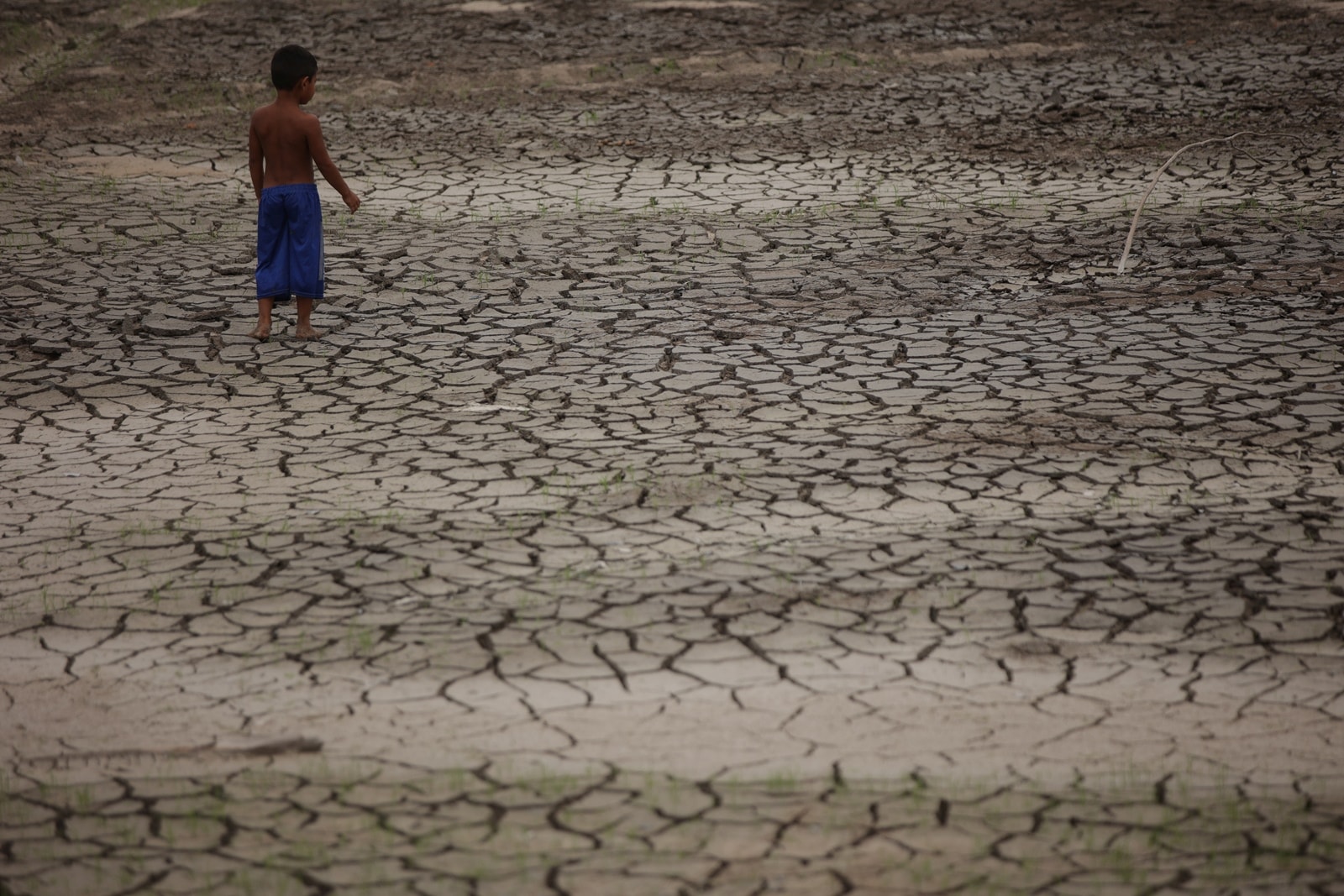 Severe drought grips the Amazon rainforest