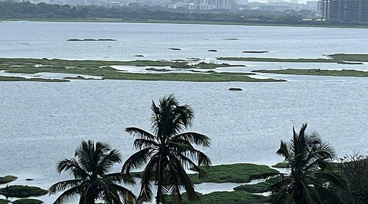 Environment minister’s assurance on restoration of Bellandur and ...