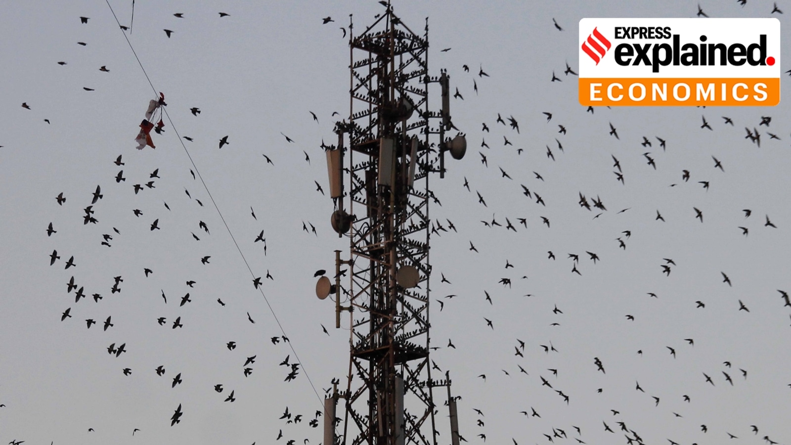 Karnataka High Court orders cancellation of lookout circular against ...