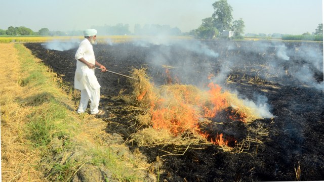 Good news: Punjab’s air quality improves as number of farm fires ...