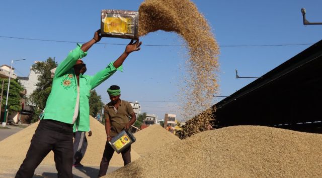 Paddy procurement begins: On day 1, govt buys 4,000 tonnes, private ...